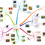Animals_mindmap - Games to learn English