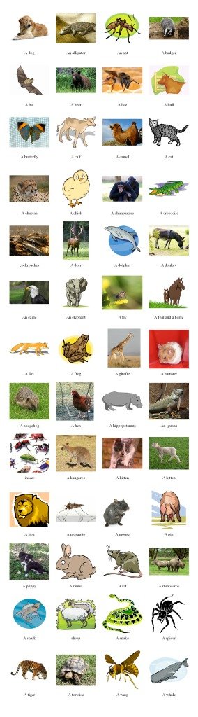 Pictionary_animals - Games to learn English